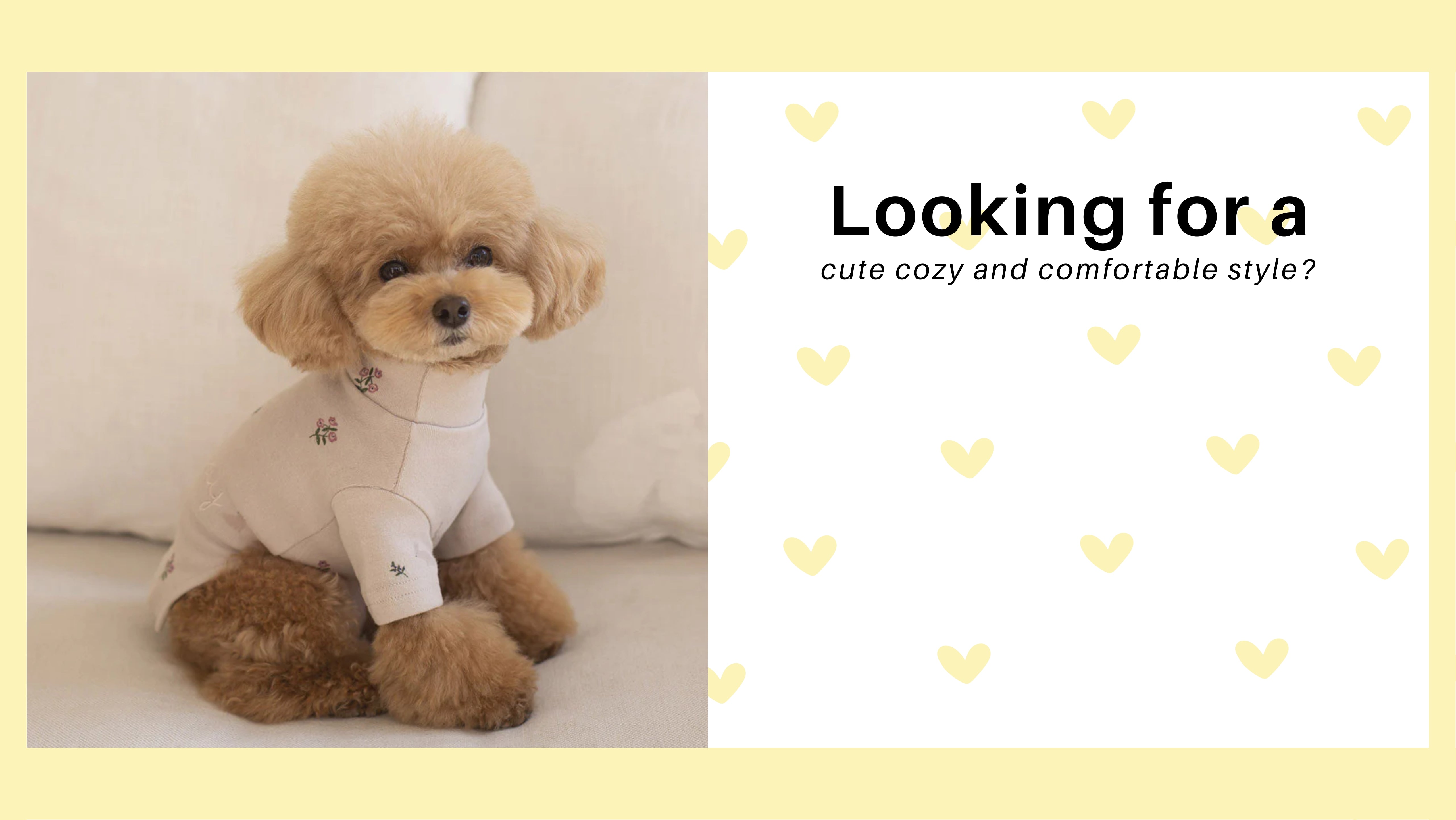 La Maison Mou - Trendy Pets Shop